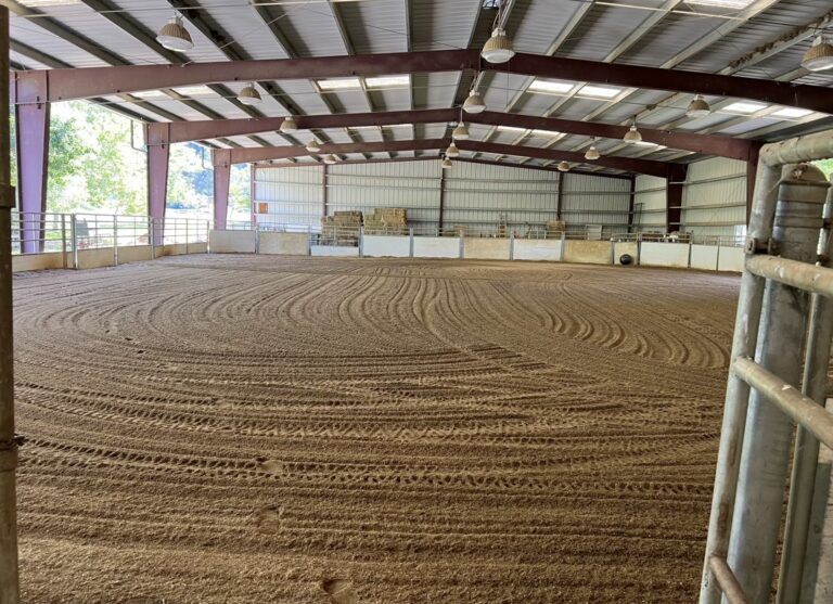 California Eagala Equine Therapy Certification for Specialists - Eagala