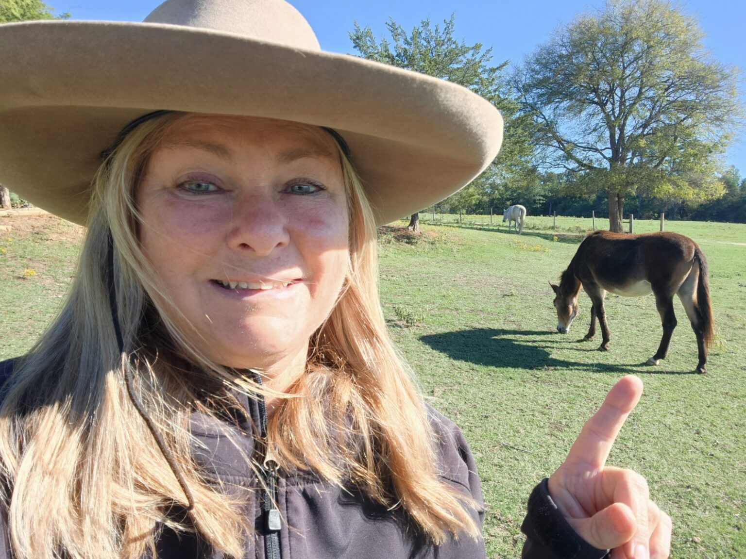 What is the Eagala model? | Eagala - Eagala