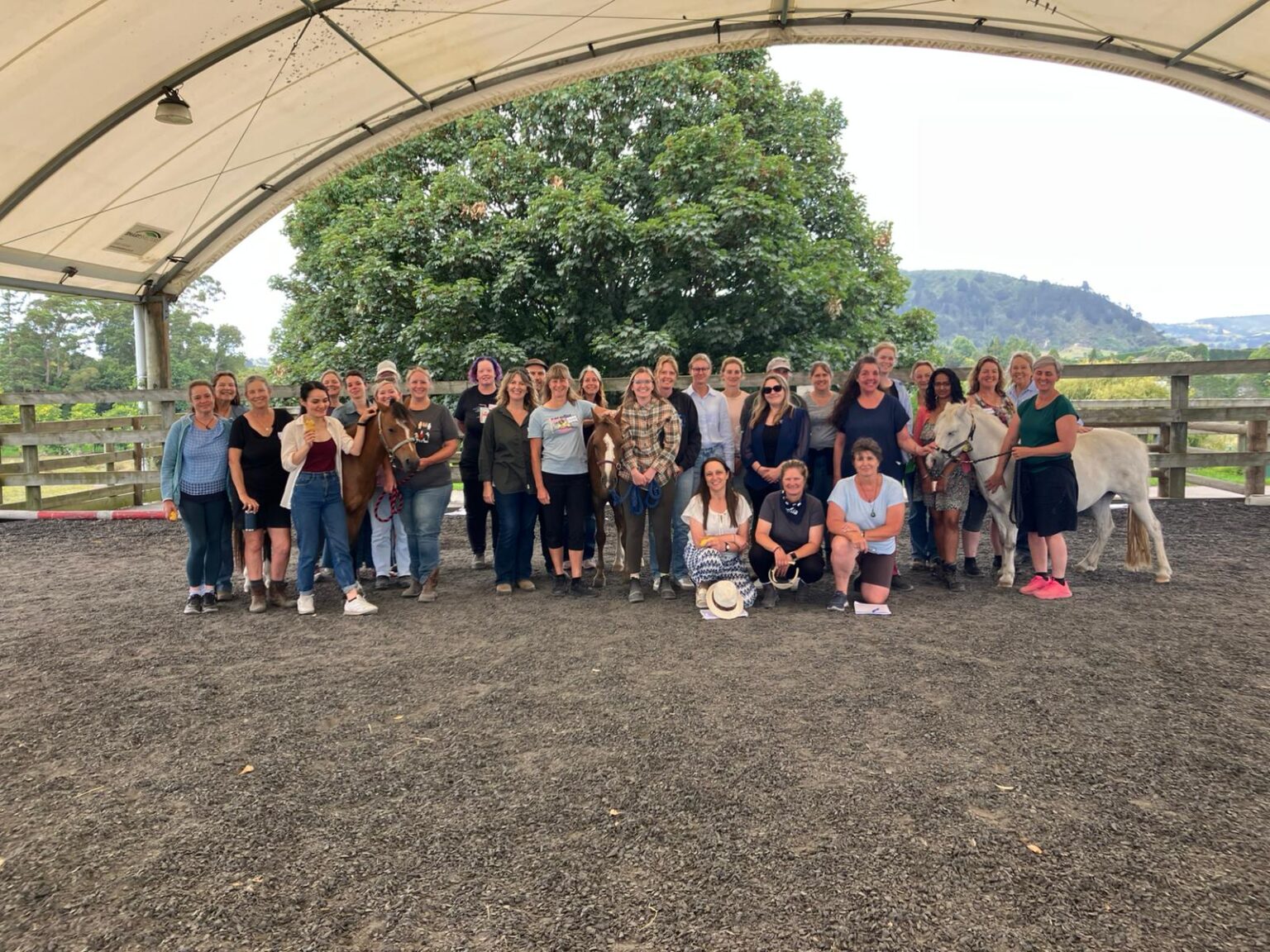 Equine Therapy Facts - Eagala