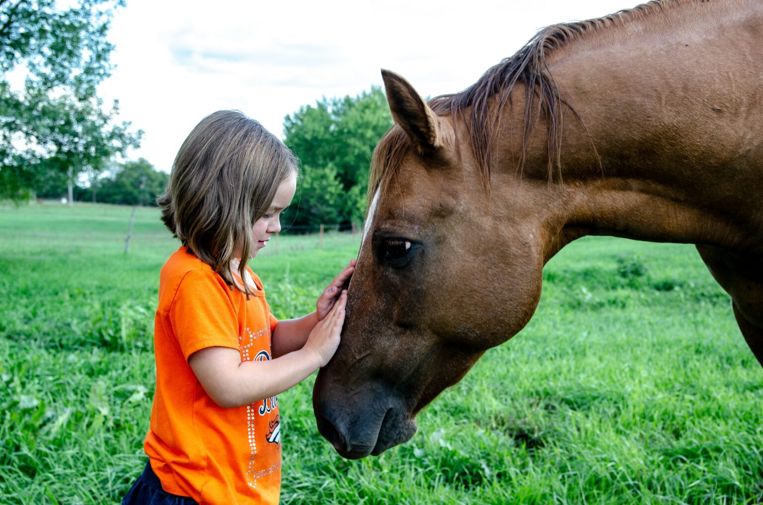 Equine Therapy and Assisted Counseling | Eagala