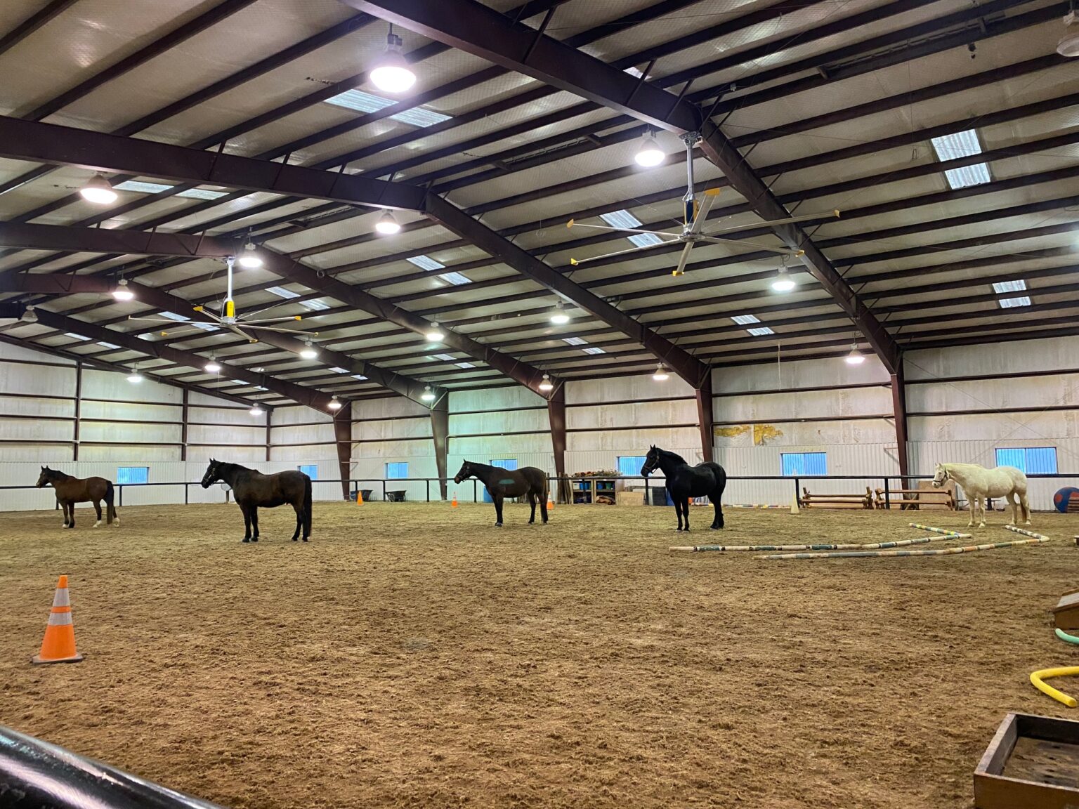 What is Equine Assisted Psychotherapy - Eagala